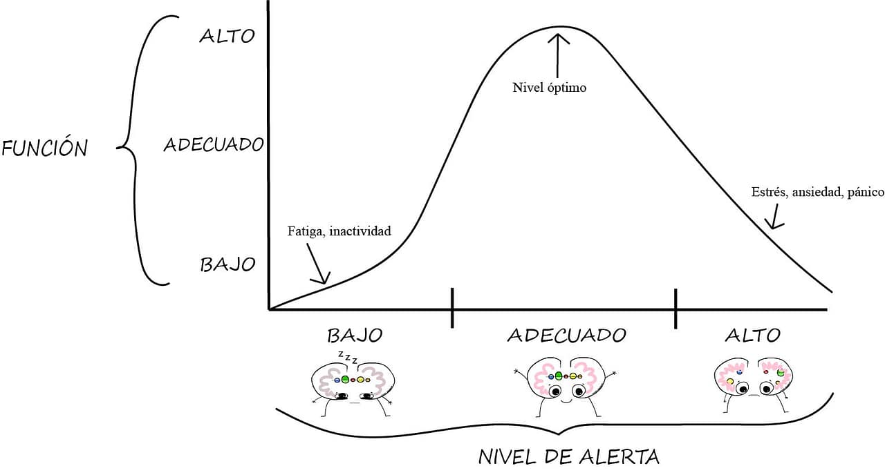 ¿Qué es la atención? - Universo Neurodiverso